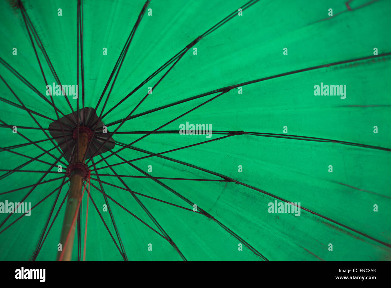 Green parasol hi-res stock photography and images - Alamy