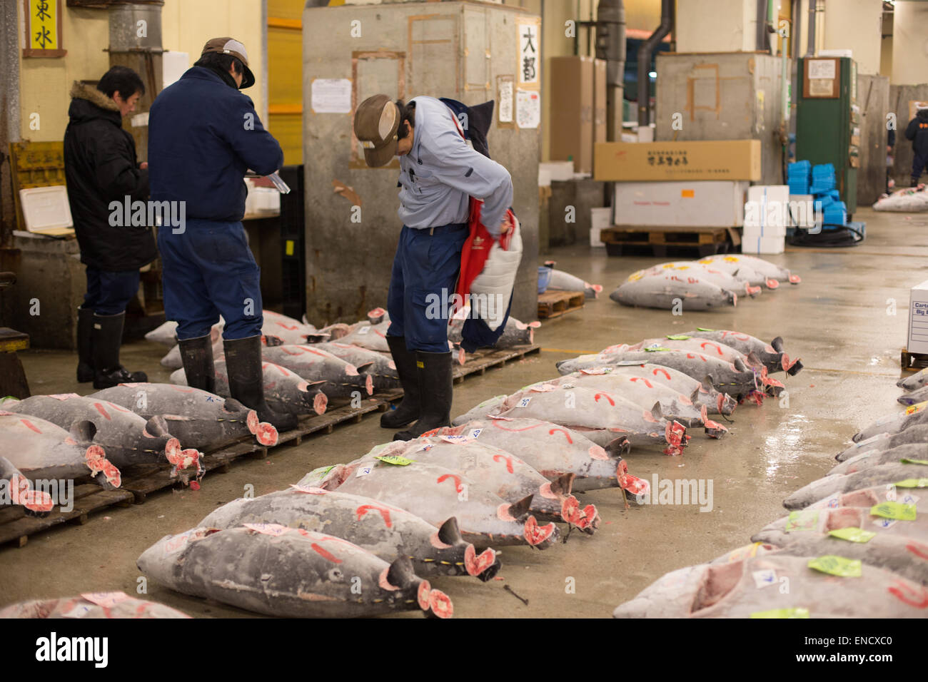 Tokyo tuna auction hi-res stock photography and images - Alamy