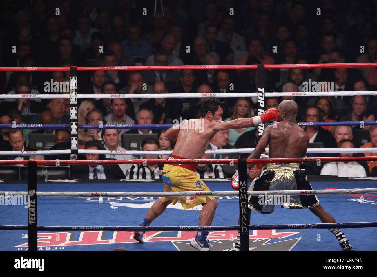 Las Vegas, Nevada, USA. 2nd May, 2015. Boxers Floyd Mayweather and ...
