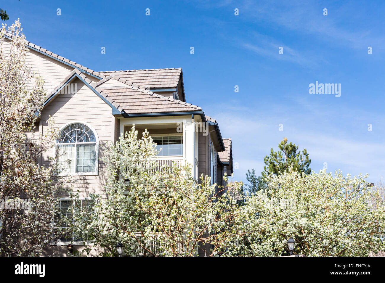Exterior of typical apartment complex in North America Stock Photo - Alamy