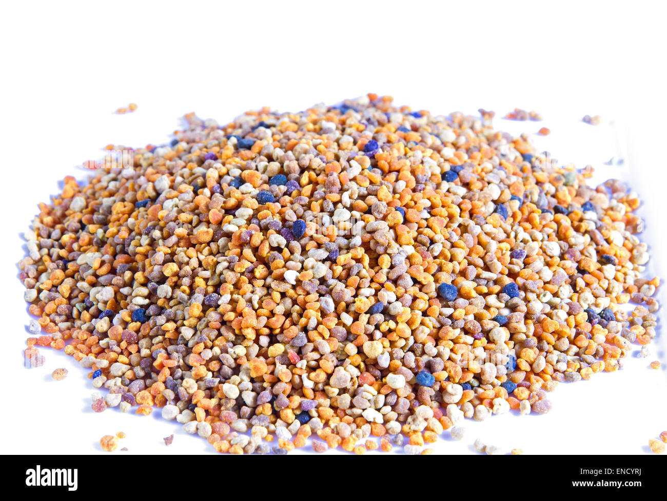 Beautiful photos of pollen. Macro photo Stock Photo - Alamy