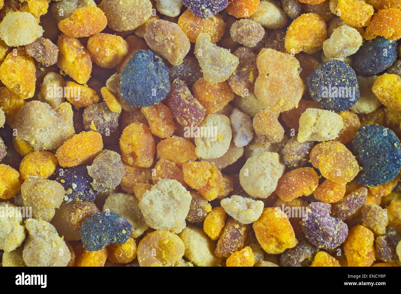 Photos of pollination hi-res stock photography and images - Alamy