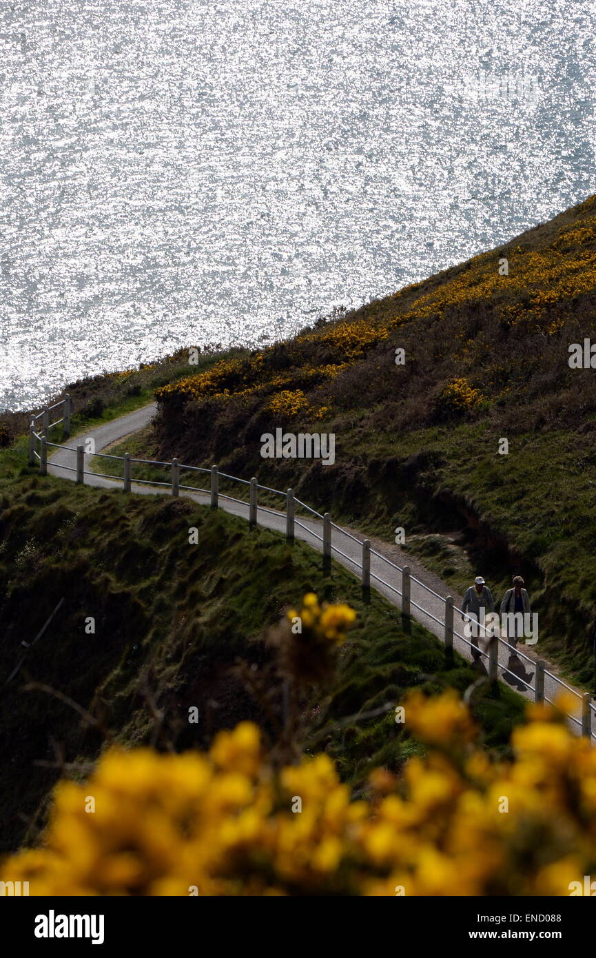 Two people walking the coast path. The sea sparkles in the background ...
