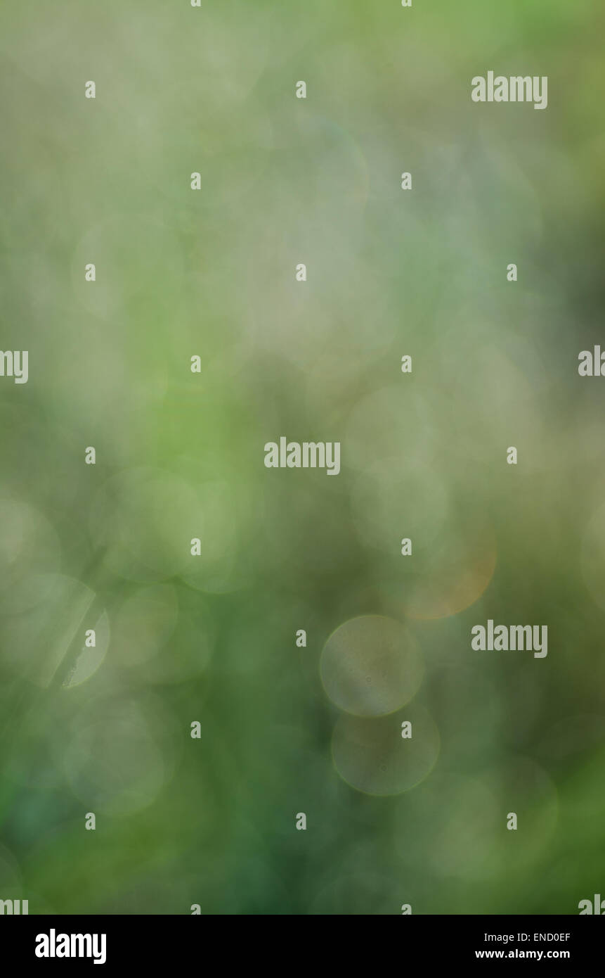 Spring bokeh background hi-res stock photography and images - Alamy