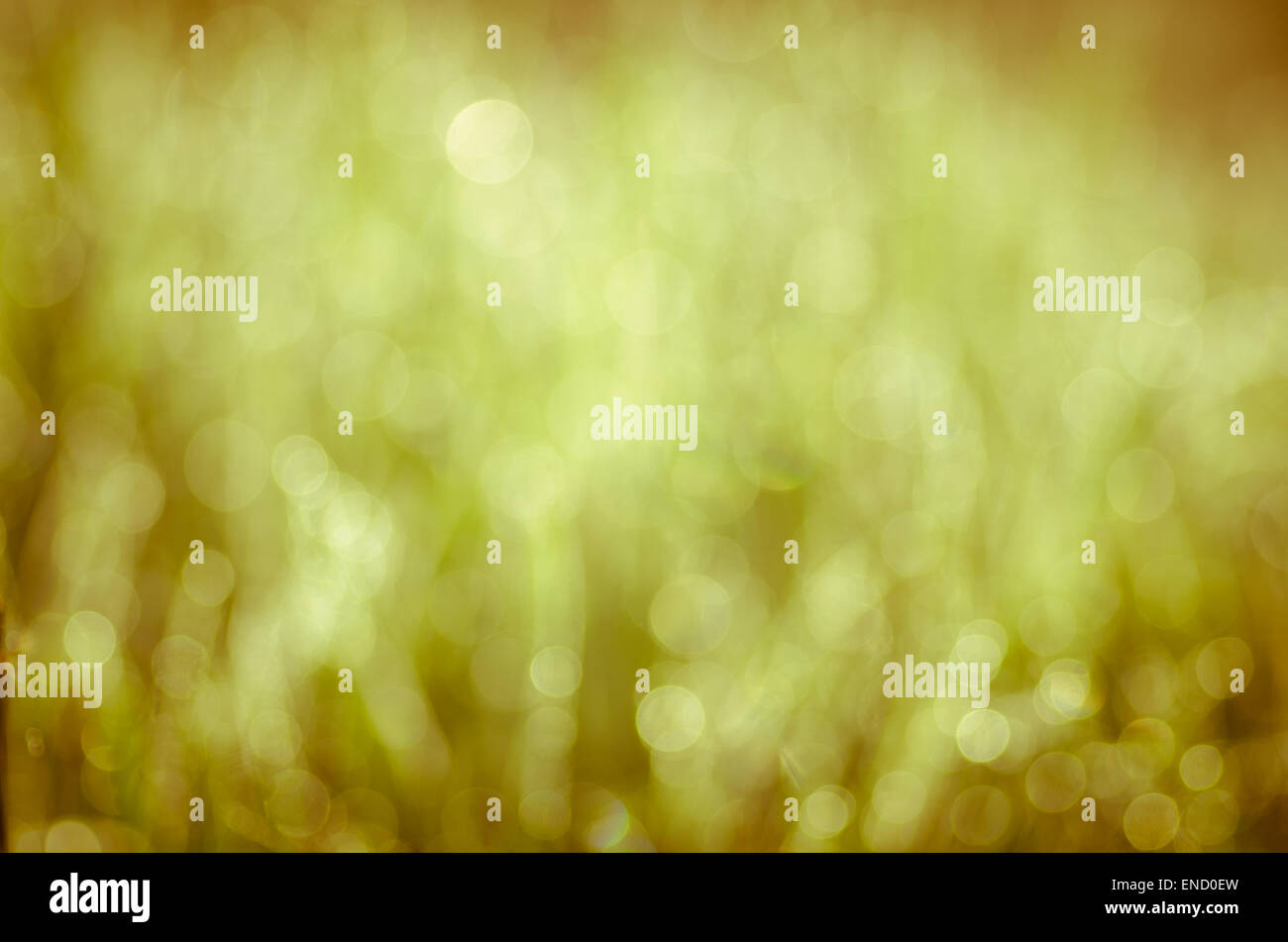 abstract spring nature bokeh background Stock Photo - Alamy