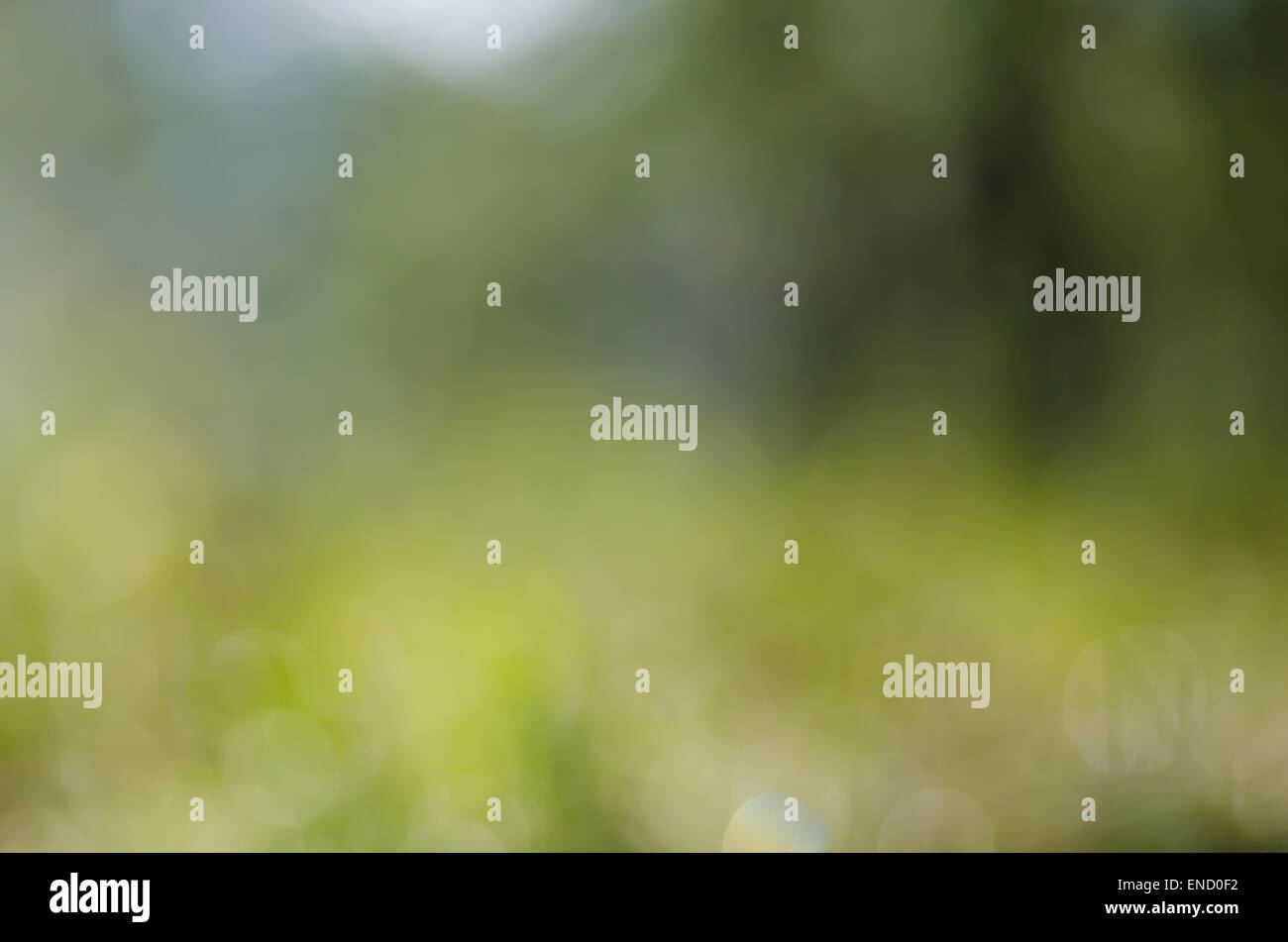 Abstract nature bokeh background hi-res stock photography and images ...