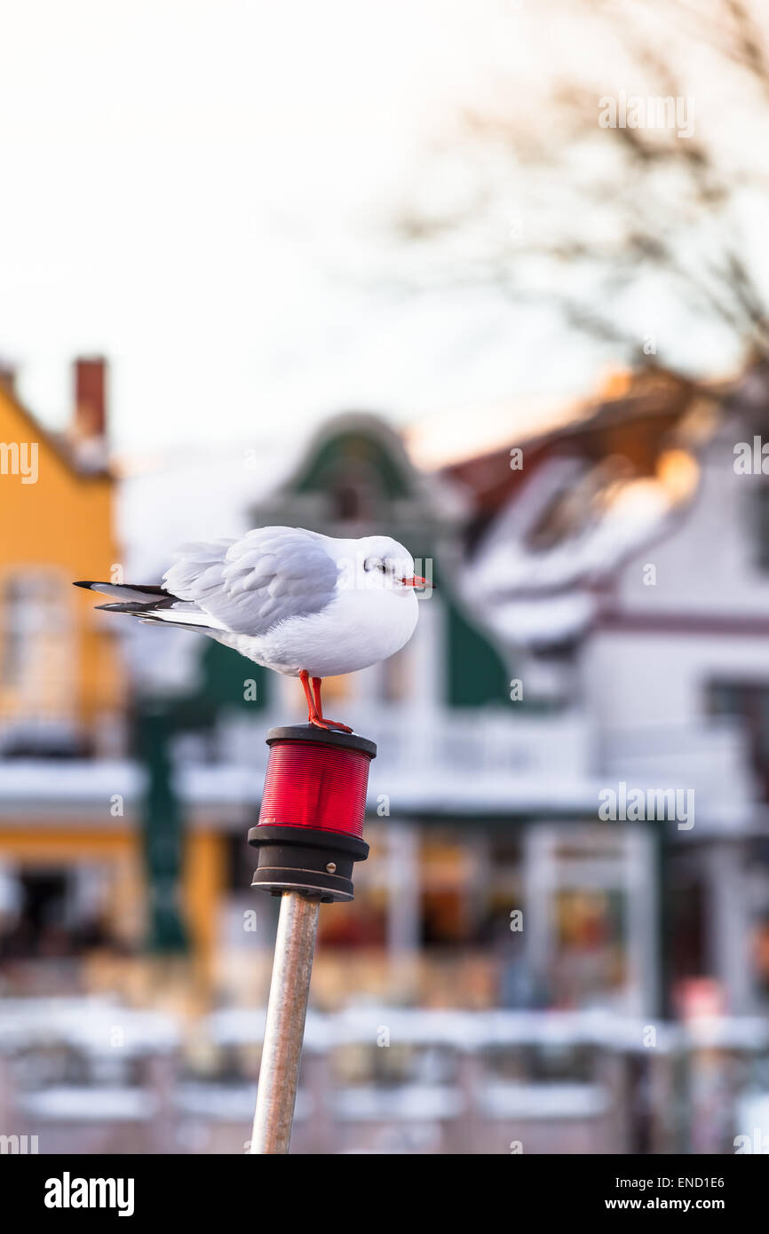 Lantern buoy hi-res stock photography and images - Alamy