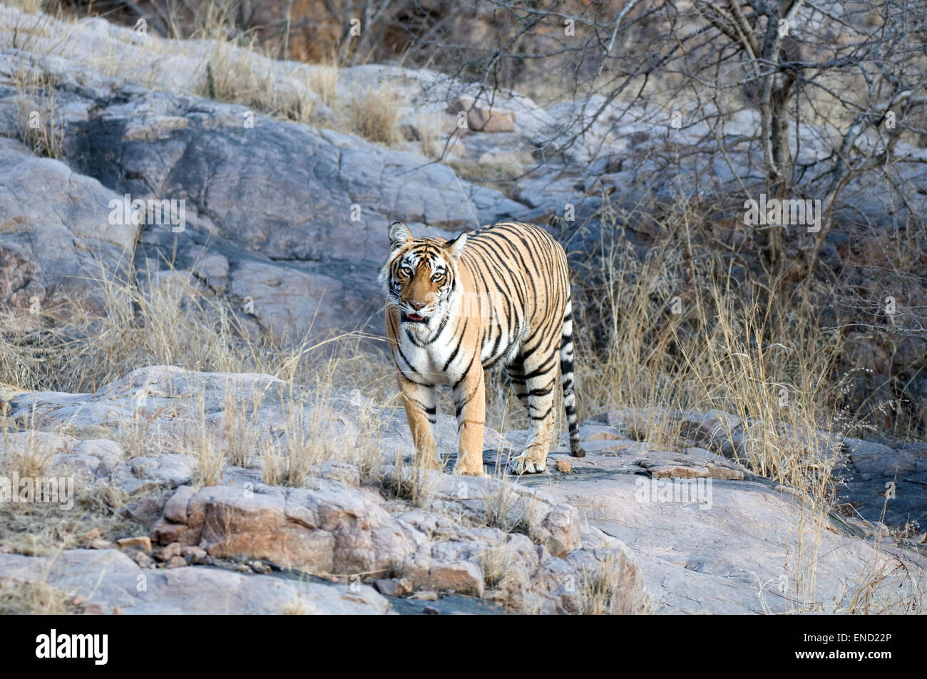 Water marks on rocks hi-res stock photography and images - Alamy