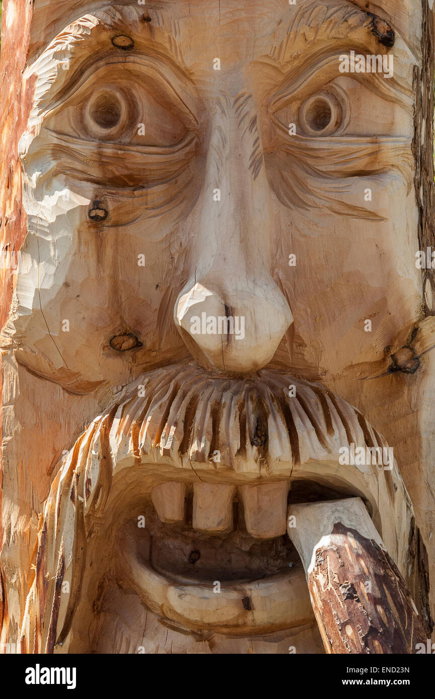 face carved into the trunk of a tree Stock Photo - Alamy