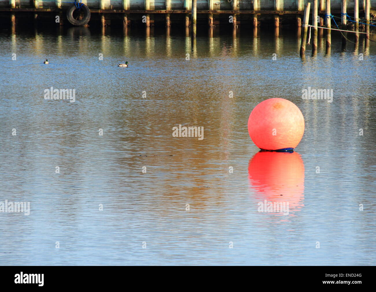 Red maritime ball marker with reflection and mole in background Stock ...