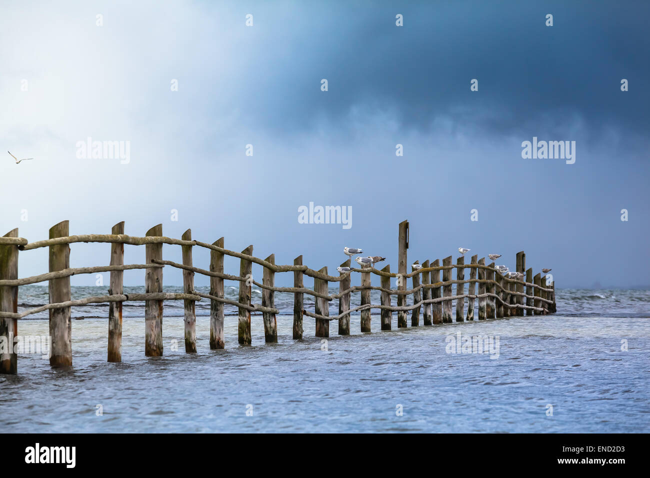 Fence in water sea hi-res stock photography and images - Alamy
