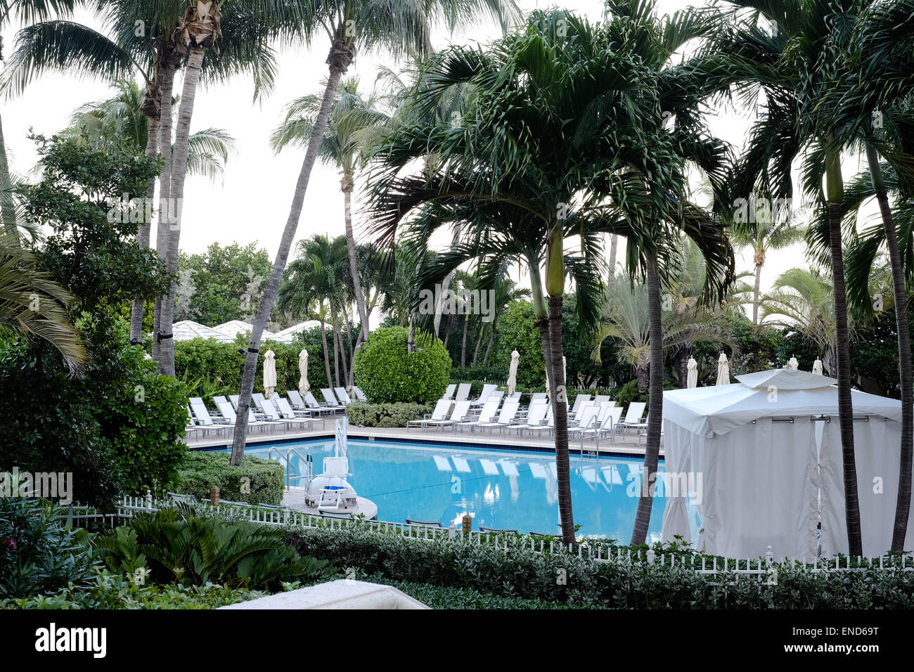 Miami swim lounge hi-res stock photography and images - Alamy