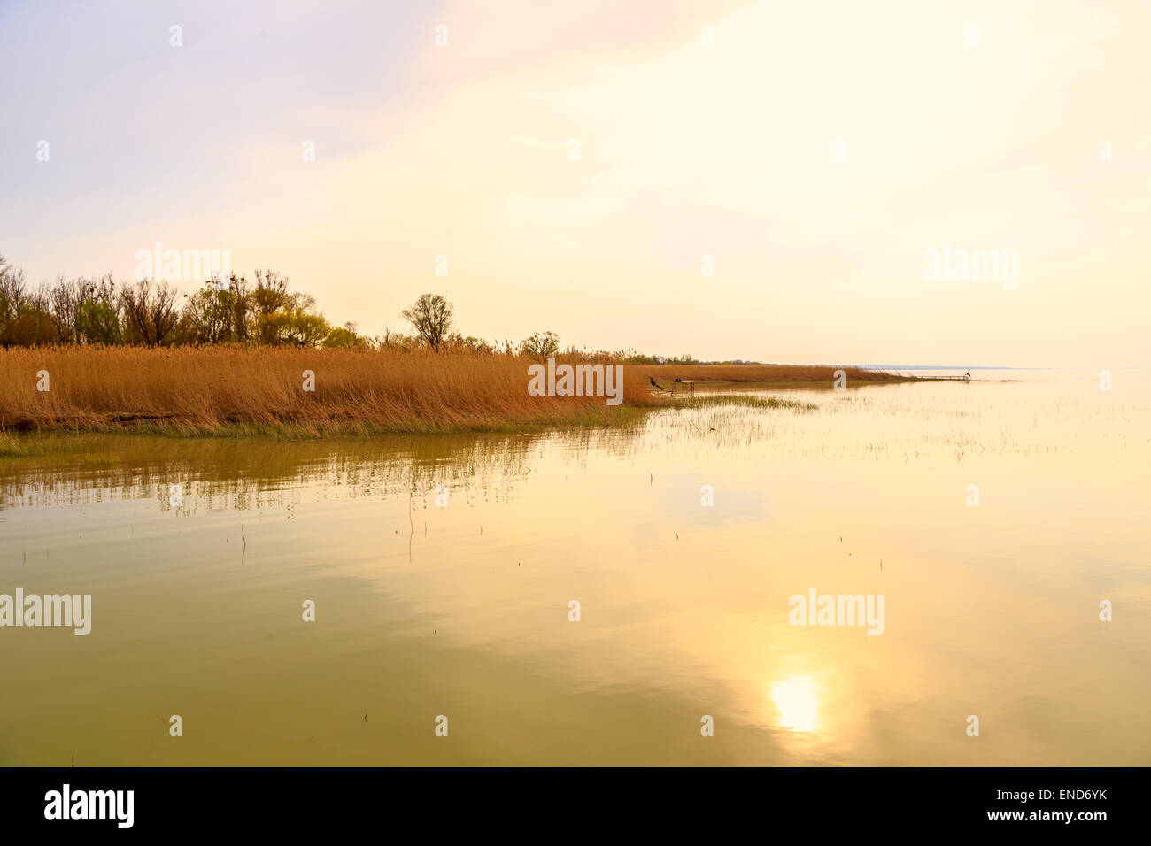 Lake Balaton in Hungary in summer Stock Photo - Alamy