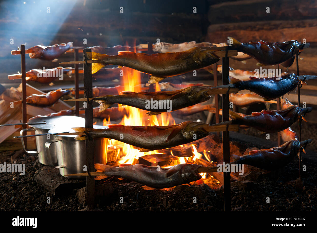 Saibling fish roasting on open fire in Fischerhütte, fishermen's hut in ...