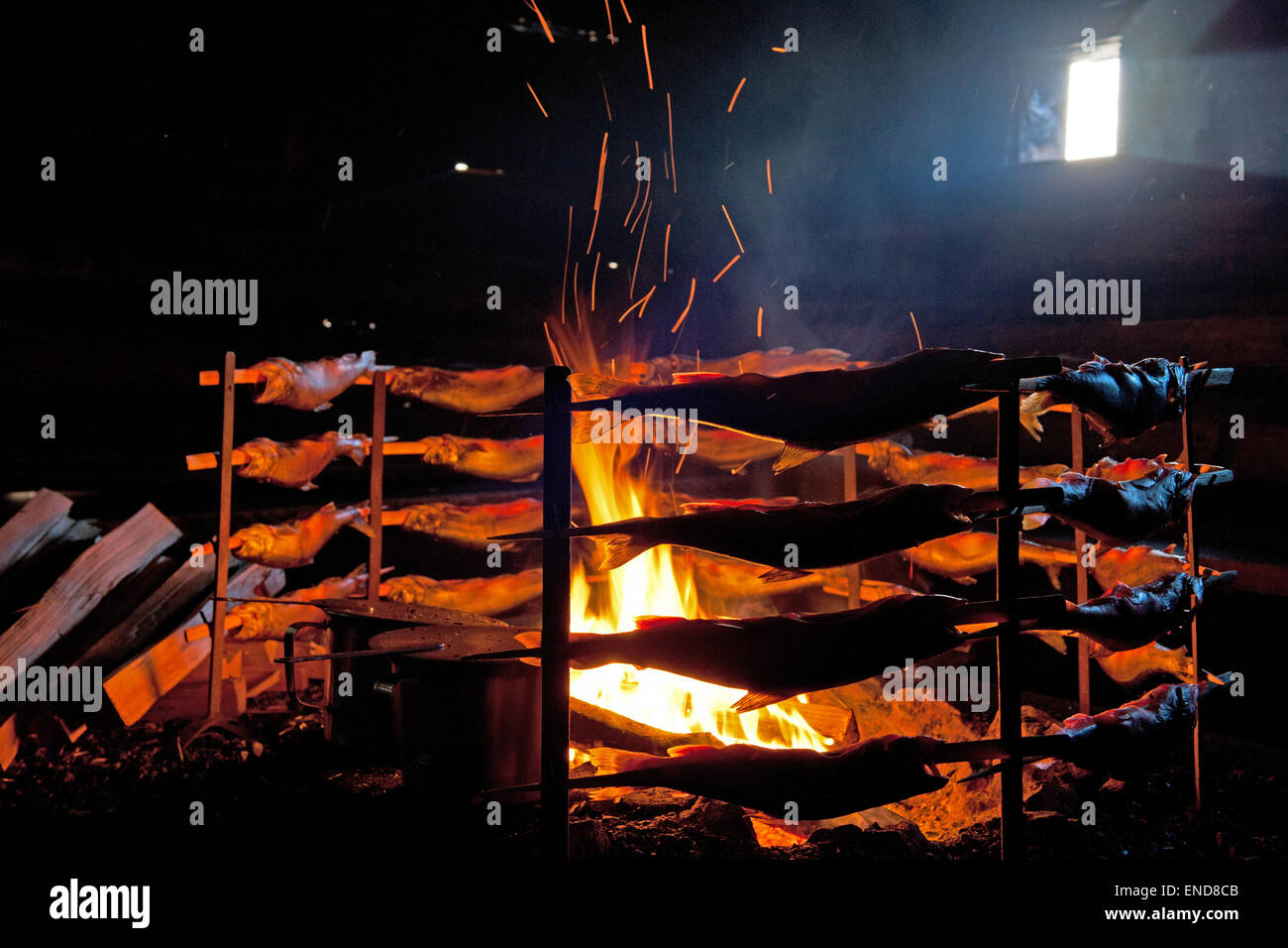 Saibling fish roasting on open fire in Fischerhütte, Altaussee, Styria ...