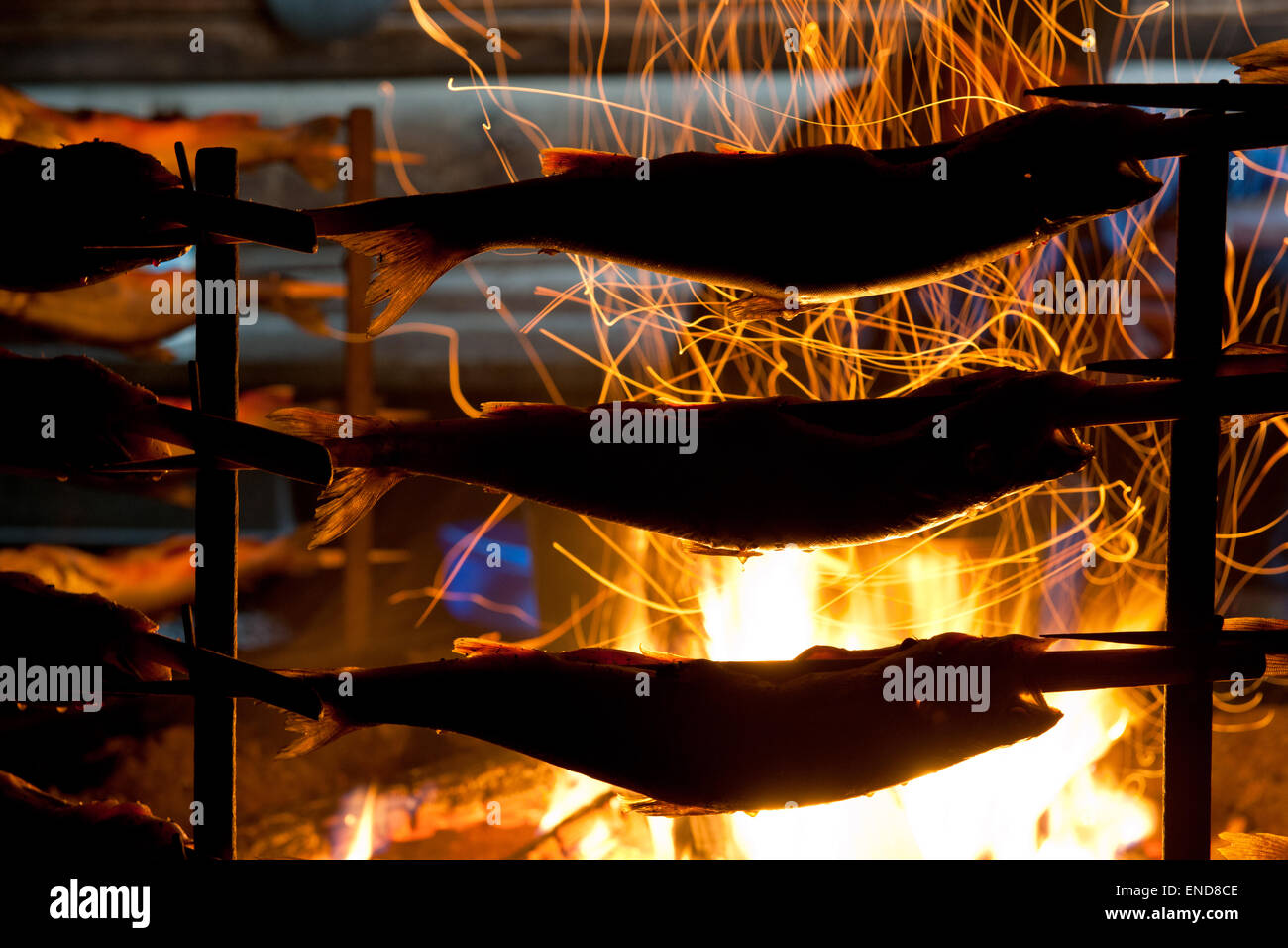 Saibling fish roasting on open fire in Fischerhütte near lake Altaussee ...