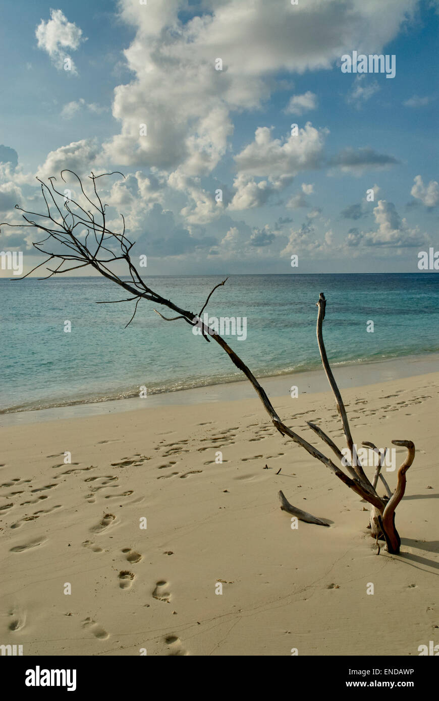 The beautiful Angaga Island in the Maldives Stock Photo - Alamy