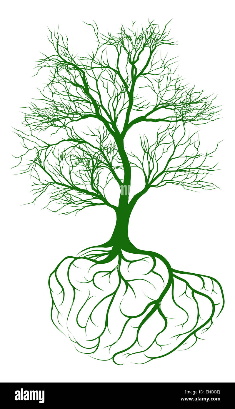 A tree growing from rooots shaped like a human brain Stock Photo - Alamy