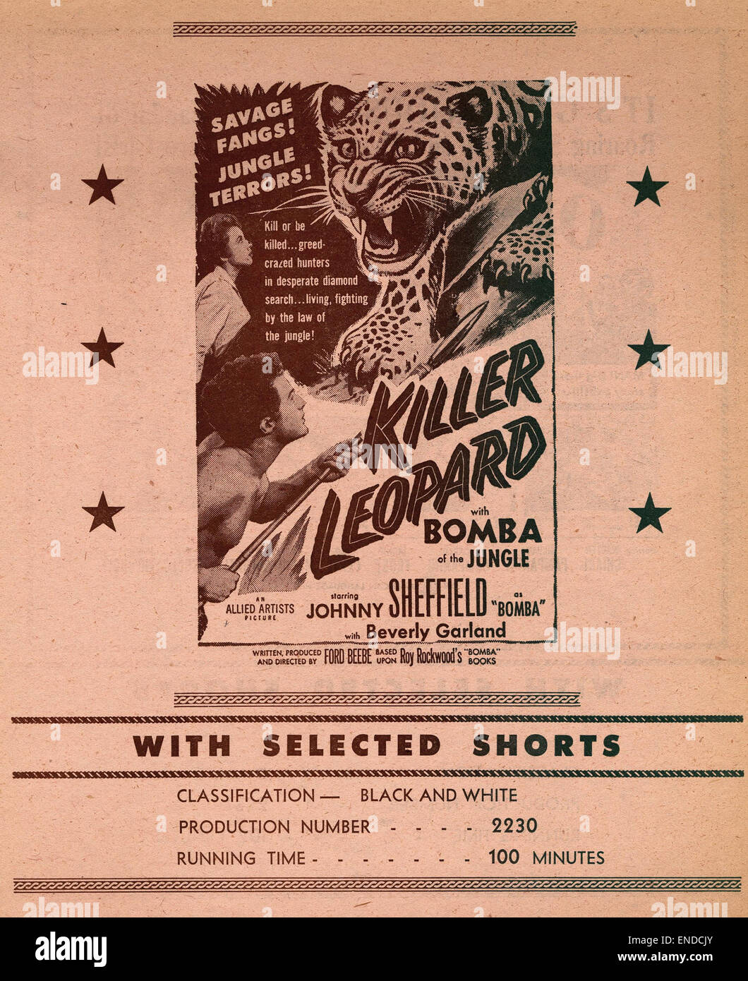 This classification poster for the Killer Leopard presents detailed ...