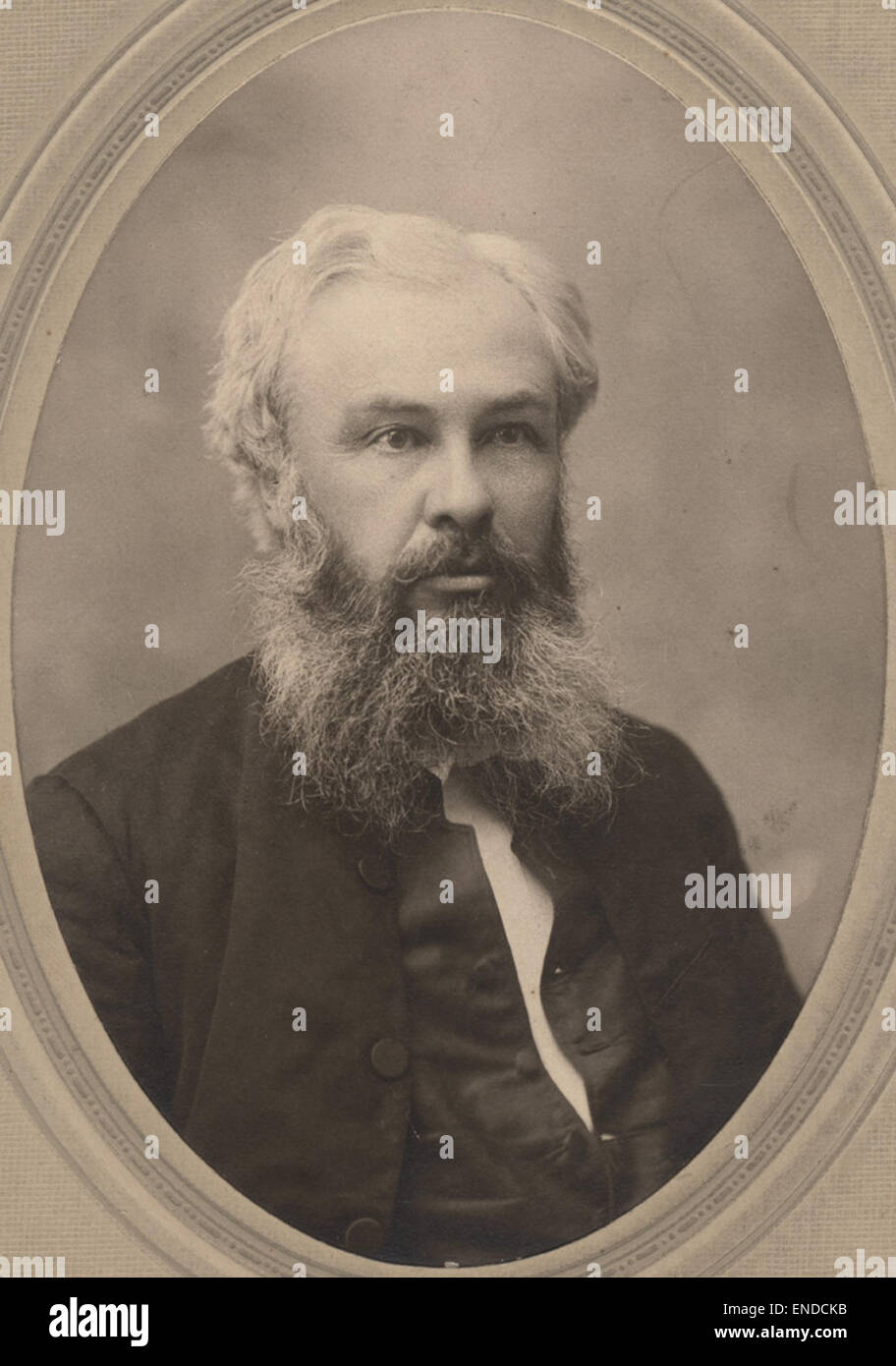 This portrait depicts Judge Issac H. Toms, capturing his dignified ...