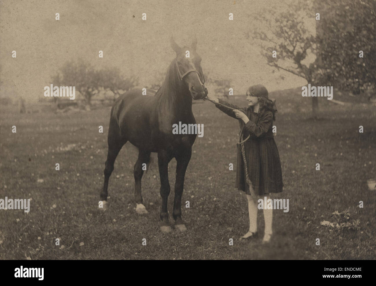This vintage photograph features a young girl with a horse, capturing a ...