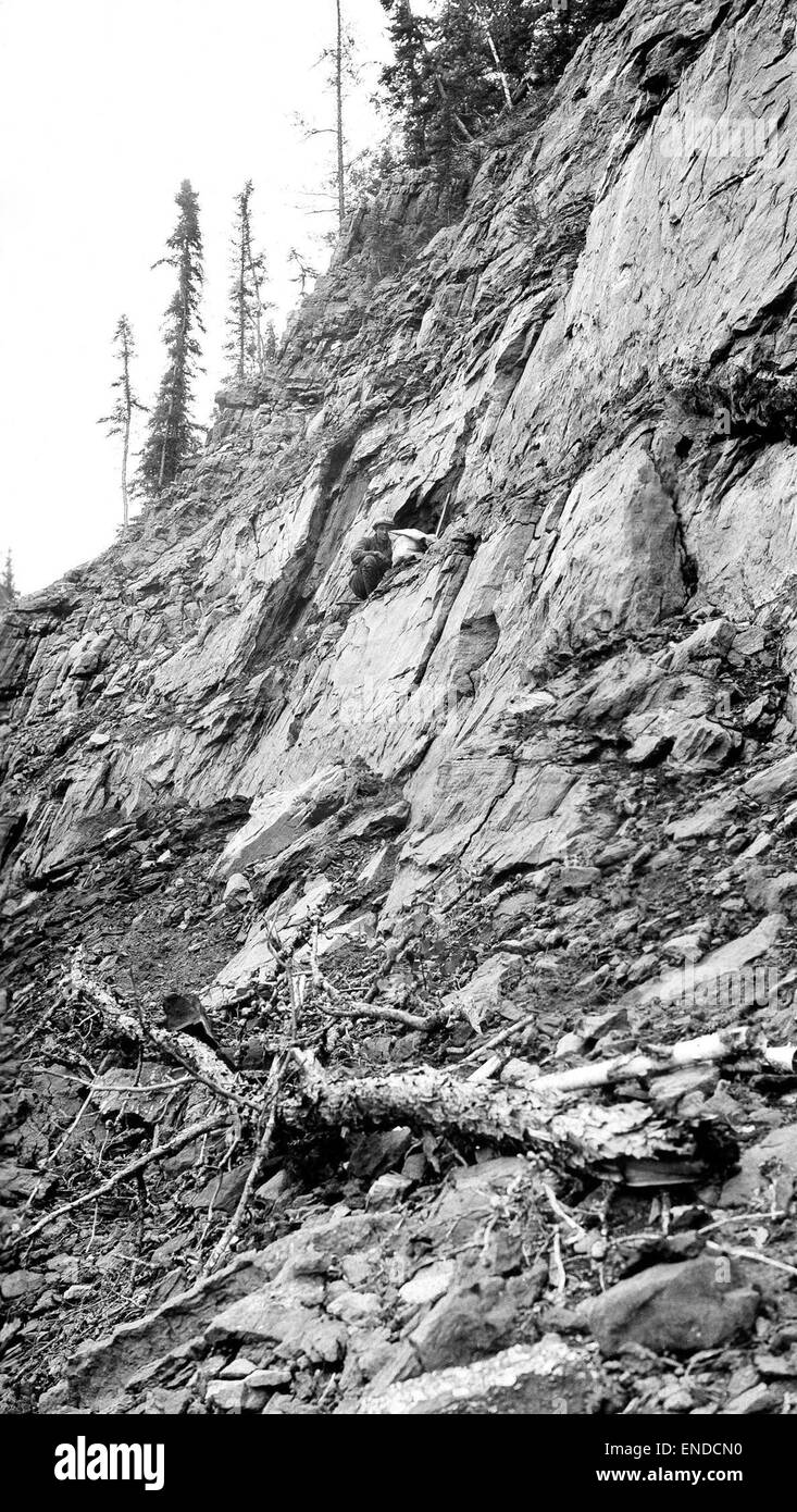 This image depicts dry, fissured bituminous sand beds, likely part of a ...