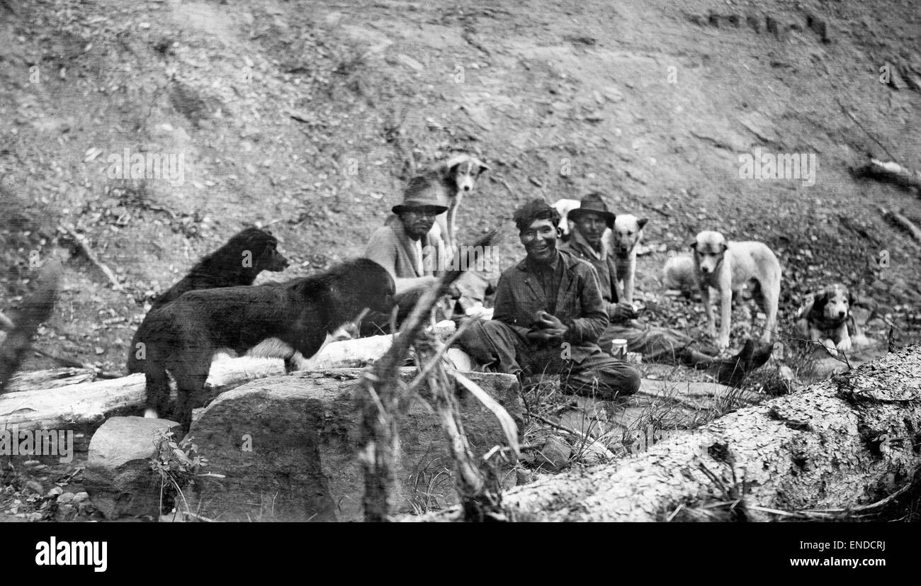 The image depicts a group of guides and their pack dogs, likely in a ...