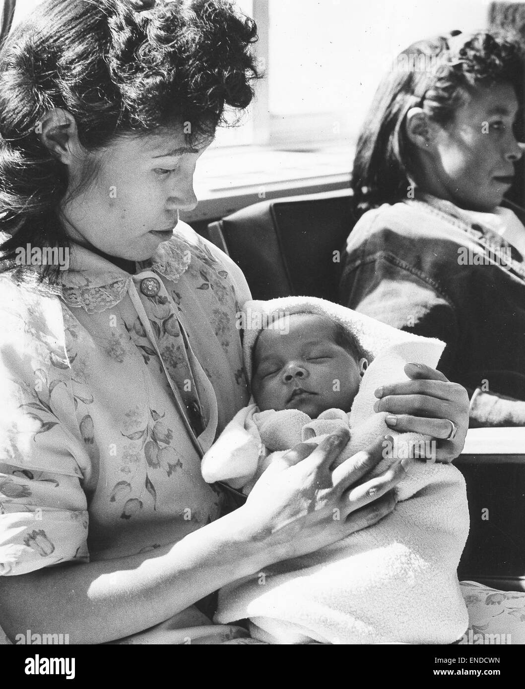 Lizzie bay hi-res stock photography and images - Alamy