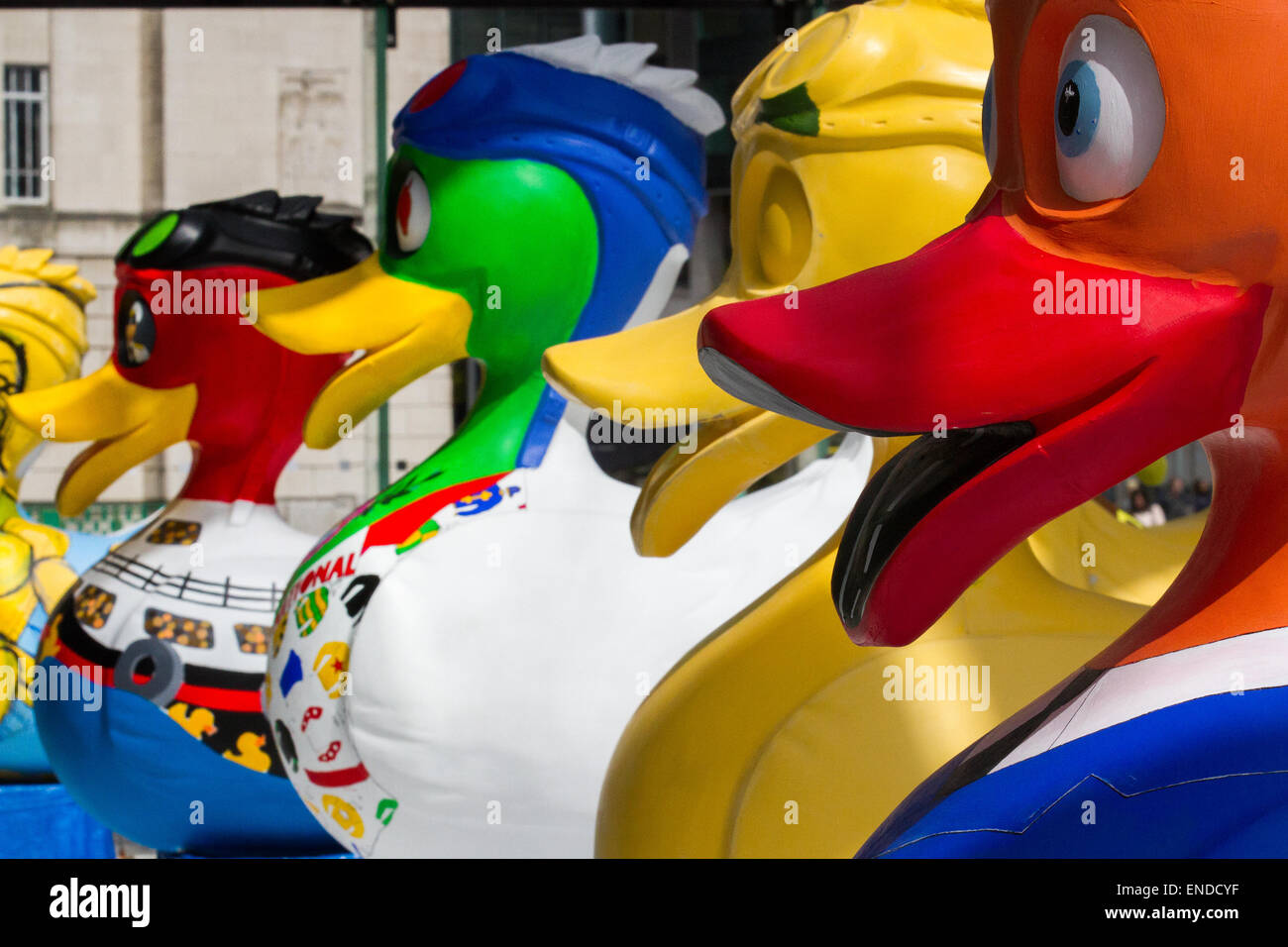 Colourful painted fibreglass model animal duck sculpture, Liverpool ...