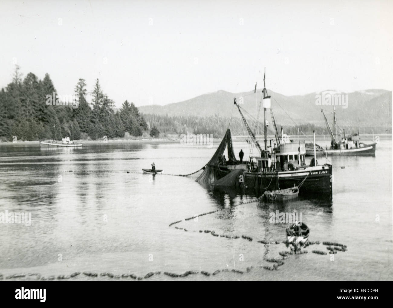 The photograph depicts the herring seiner 'Snow Cloud' setting nets in ...