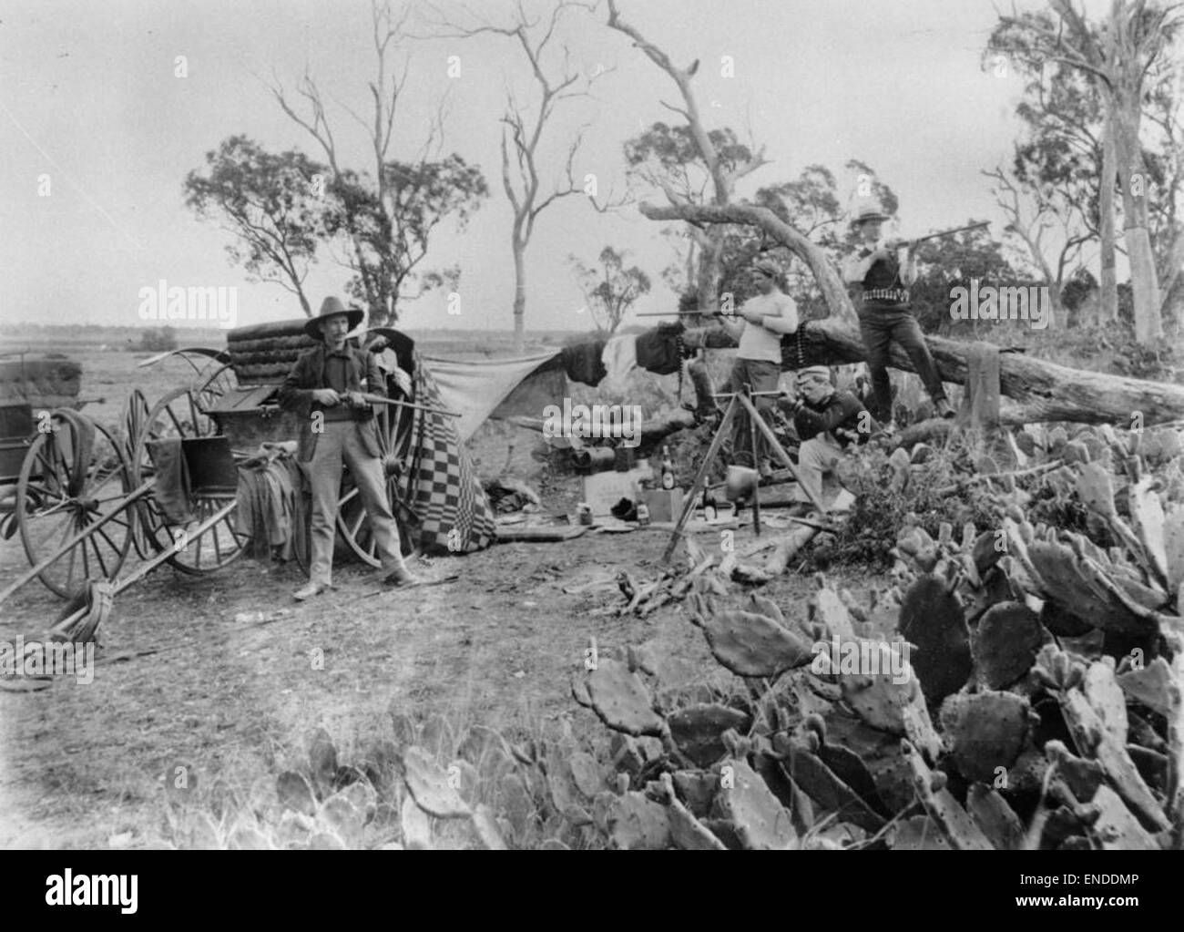 A vintage photograph from 1917 showing a kangaroo shooting party in ...
