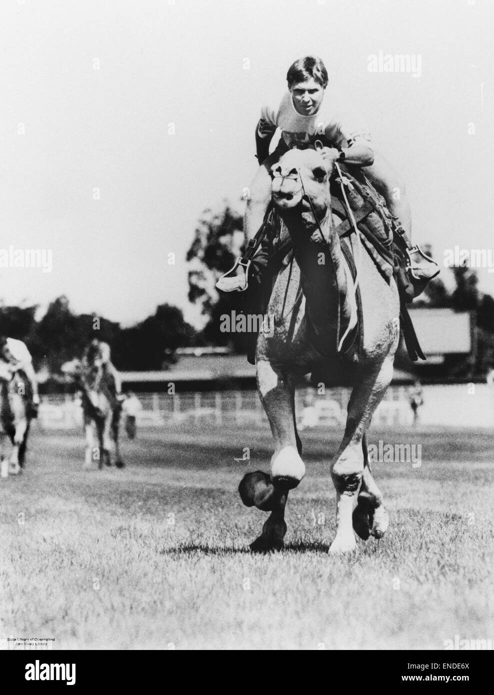 Eagle farm racecourse hi-res stock photography and images - Alamy