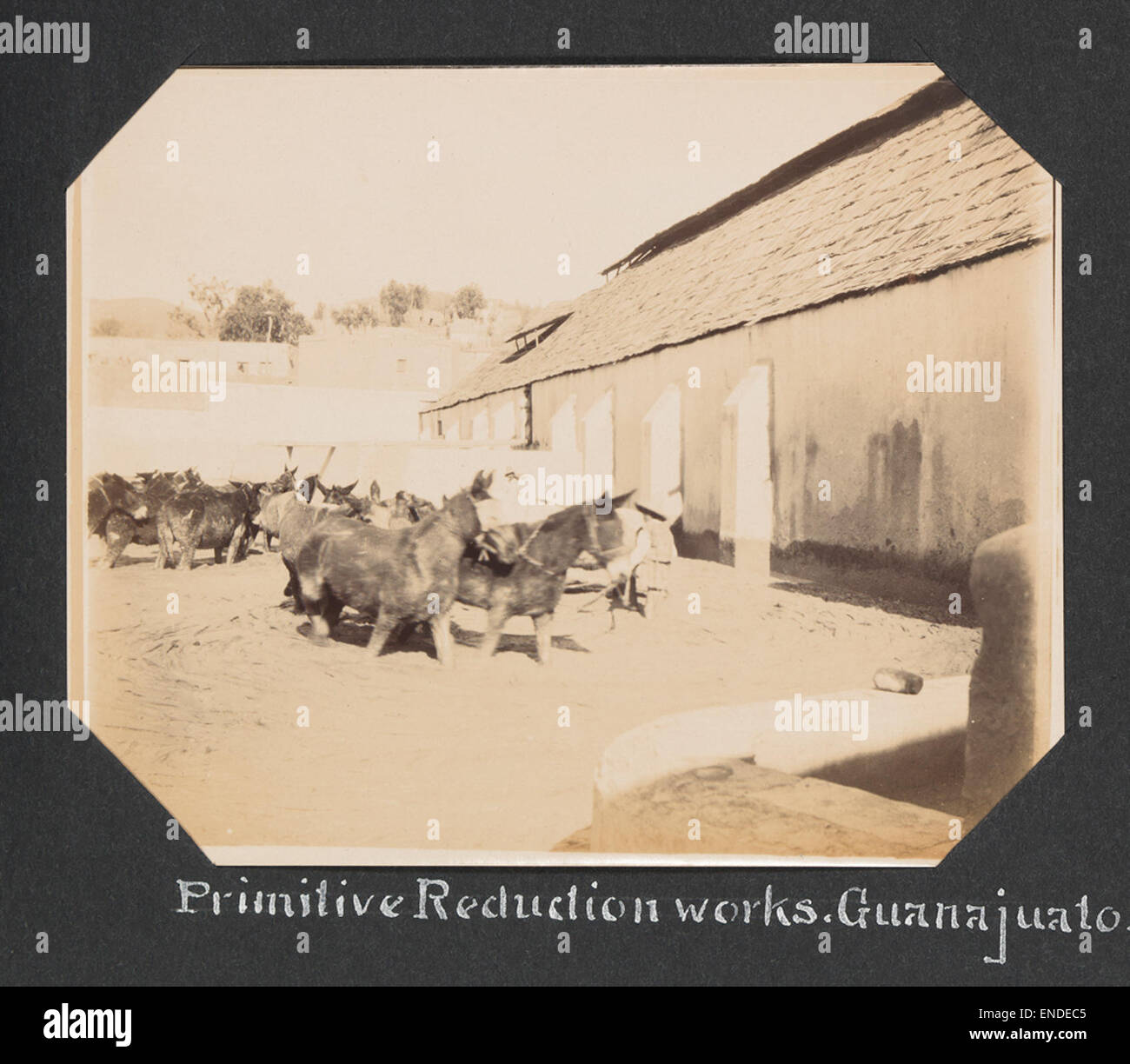 This photograph shows primitive mining operations in Guanajuato, Mexico ...