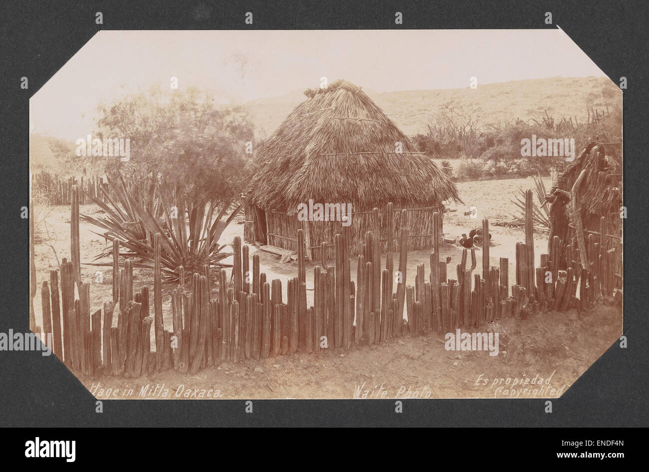 A traditional cottage in Mitla, Oaxaca, Mexico, is shown with its ...