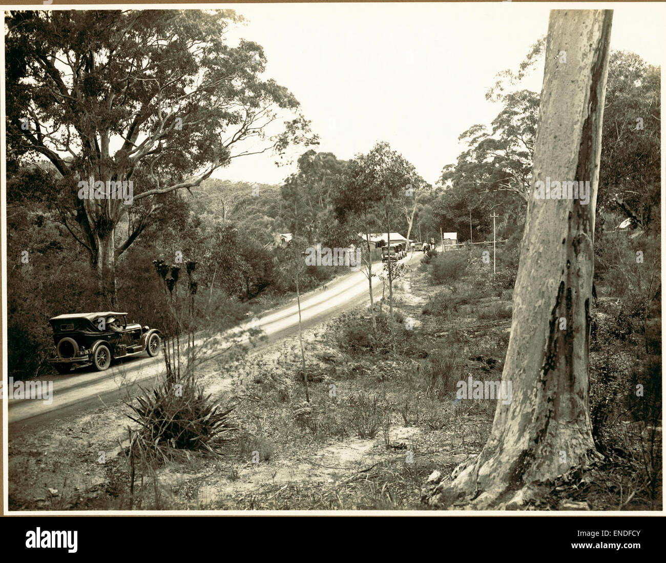 The entrance to Lady Carrington Drive in the Royal National Park, NSW ...