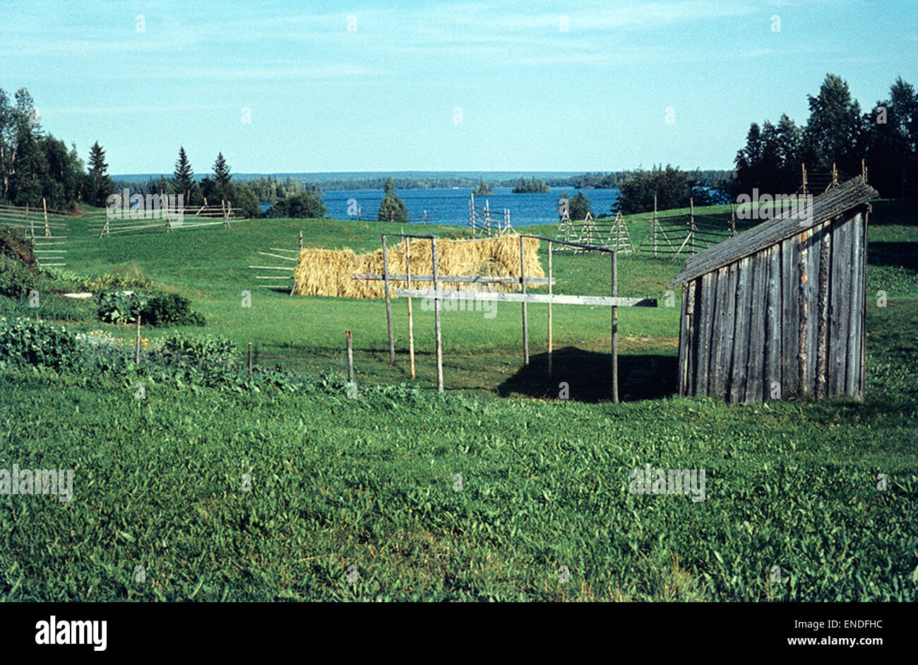 This image shows traditional hay-drying racks in the H Kvattnet region ...