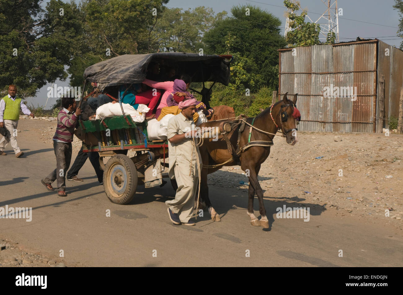 INDIA, Uttarakhand, Banbasa, horse and cart on the roadway Stock Photo ...