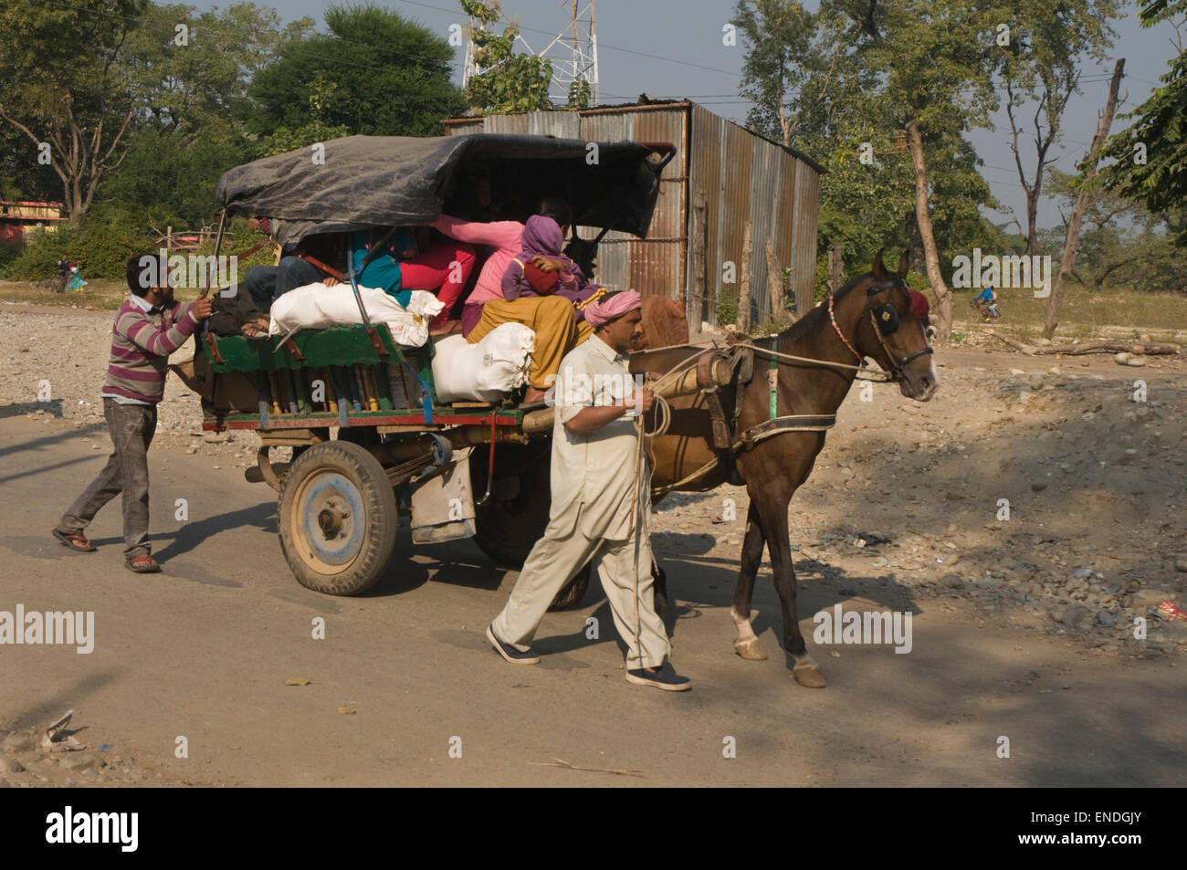 INDIA, Uttarakhand, Banbasa, horse and cart on the roadway Stock Photo ...