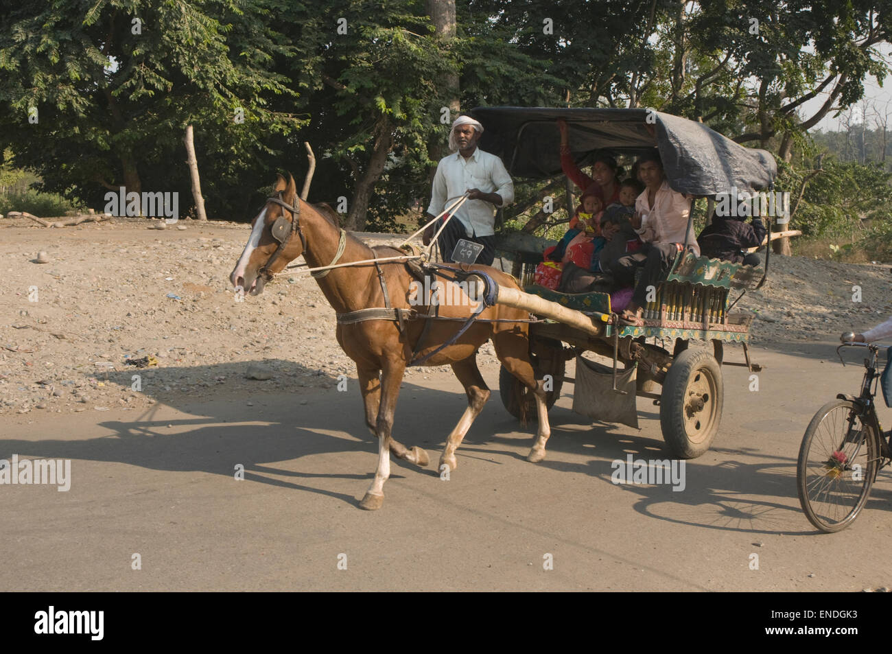 INDIA, Uttarakhand, Banbasa, horse and cart on the roadway Stock Photo ...