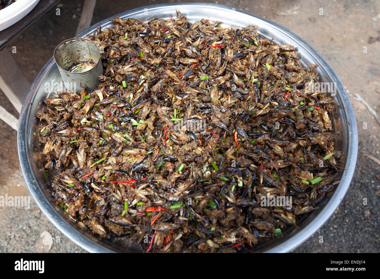 Fried insects at Skun Market, Cambodia Stock Photo - Alamy