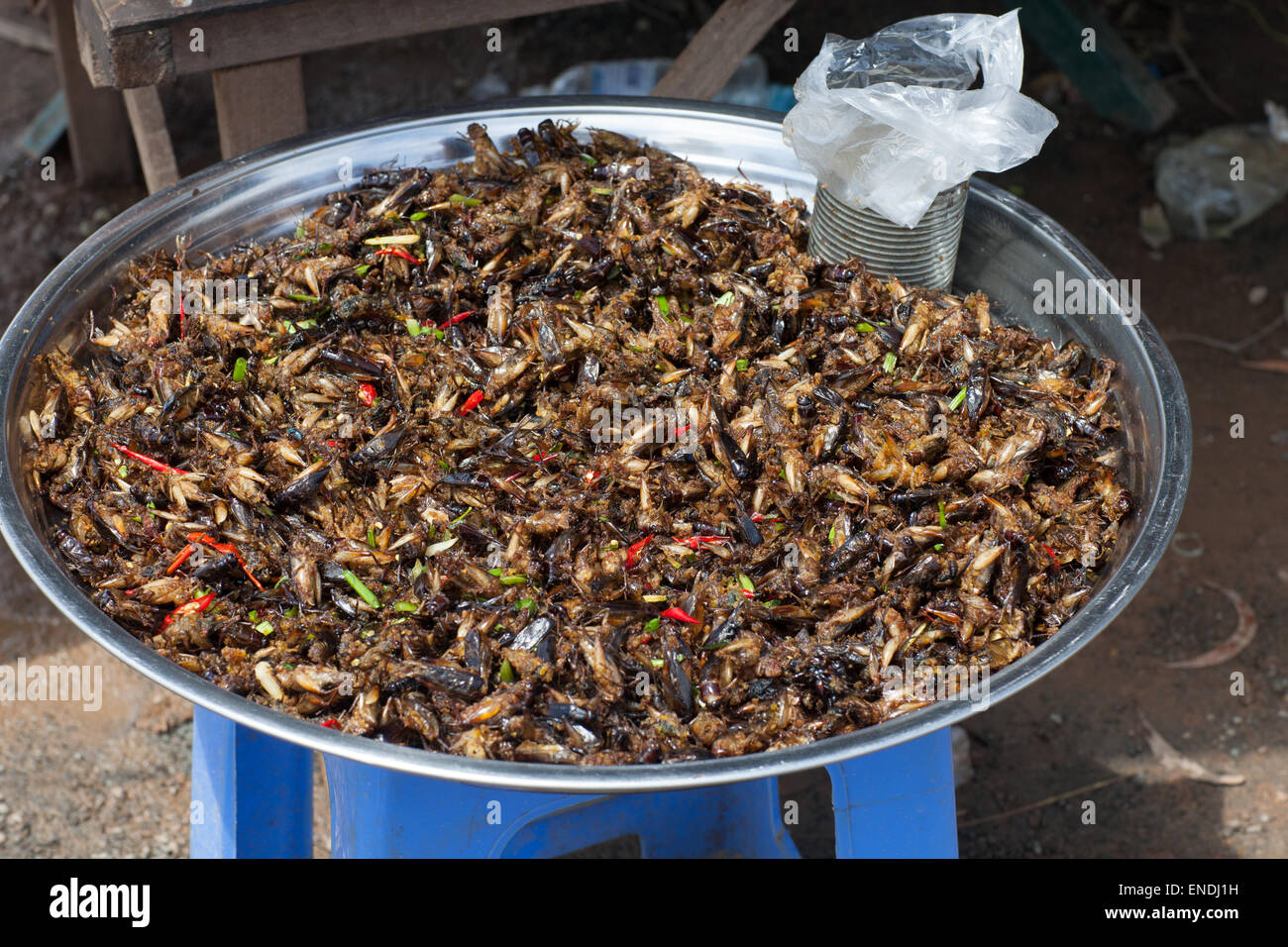 Crunchy spiders hi-res stock photography and images - Alamy