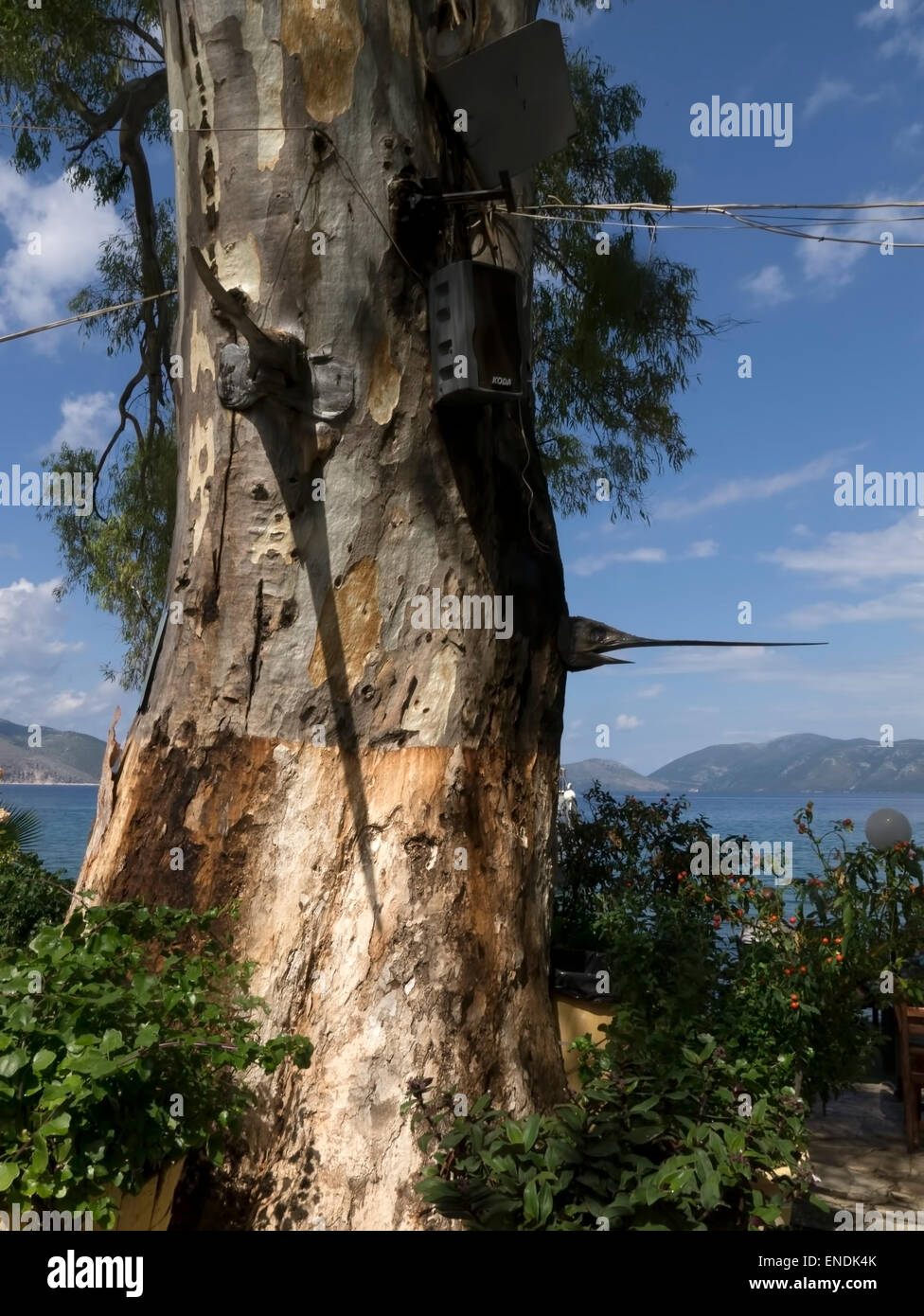 Swordfish fishing hi-res stock photography and images - Alamy