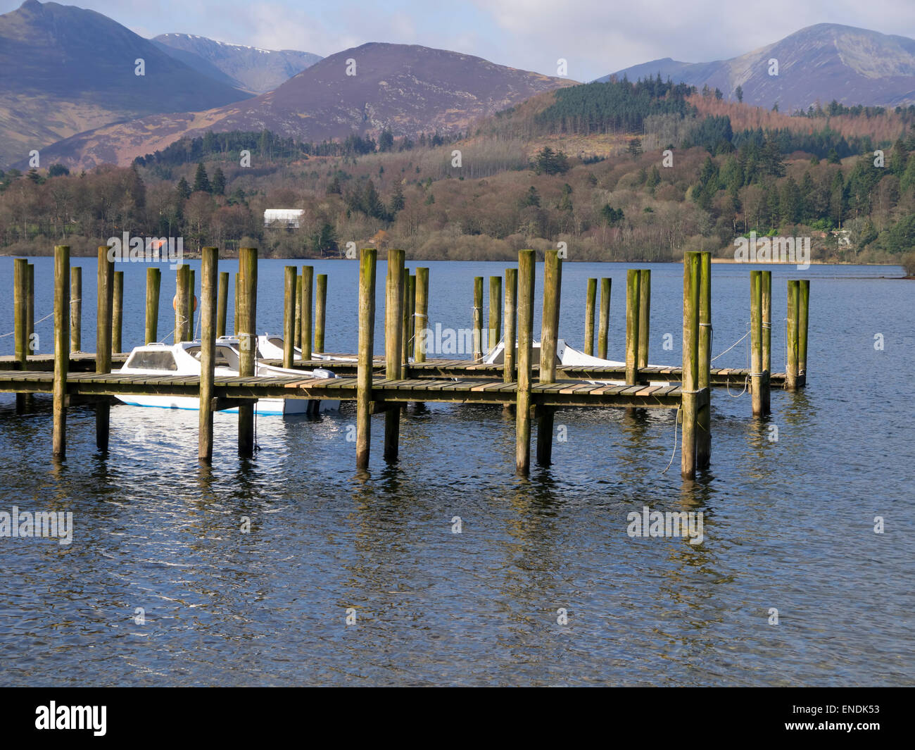 Cumbria natural history hi-res stock photography and images - Alamy