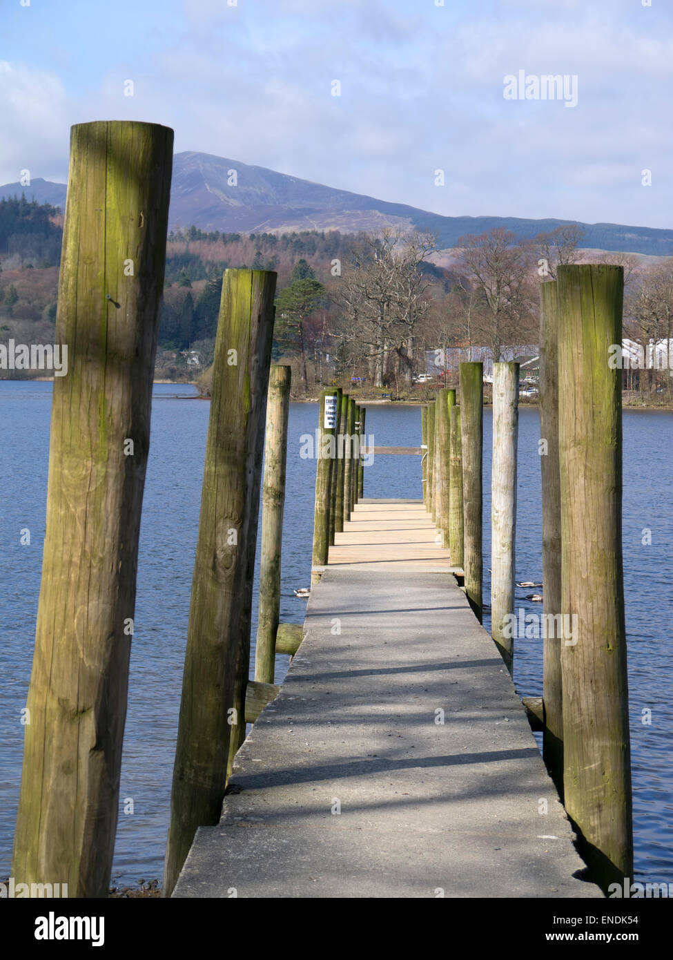 Cumbria natural history hi-res stock photography and images - Alamy