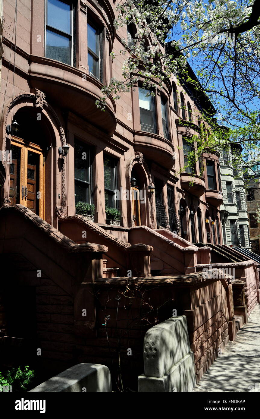 High stoops hi-res stock photography and images - Alamy