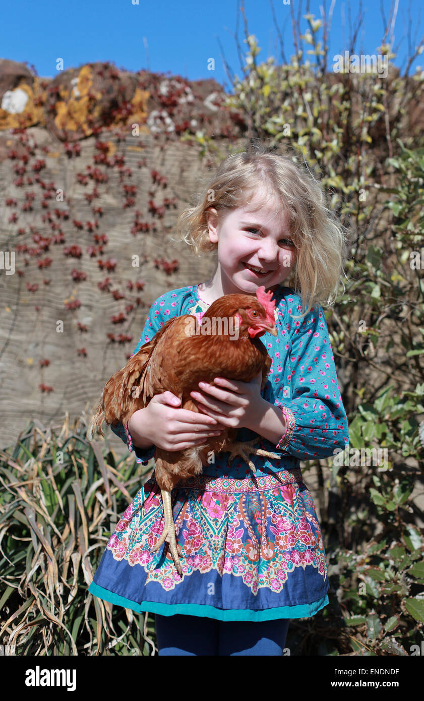 Pretty young girl holding a brown hen on a sunny day Stock Photo - Alamy