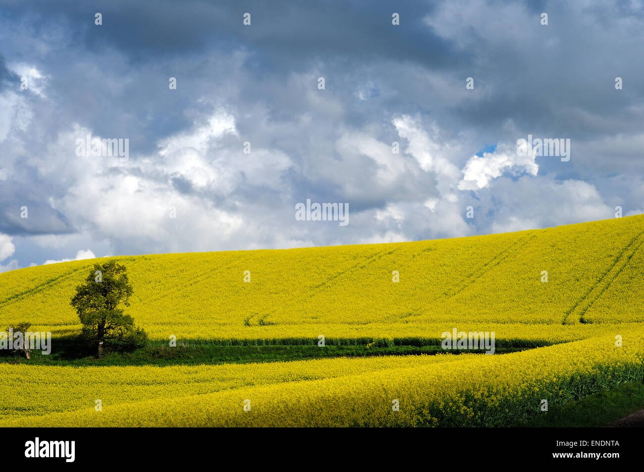 Farnsfield, Nottinghamshire ,UK. 3rd May, 2015. Weather: Couple walking ...