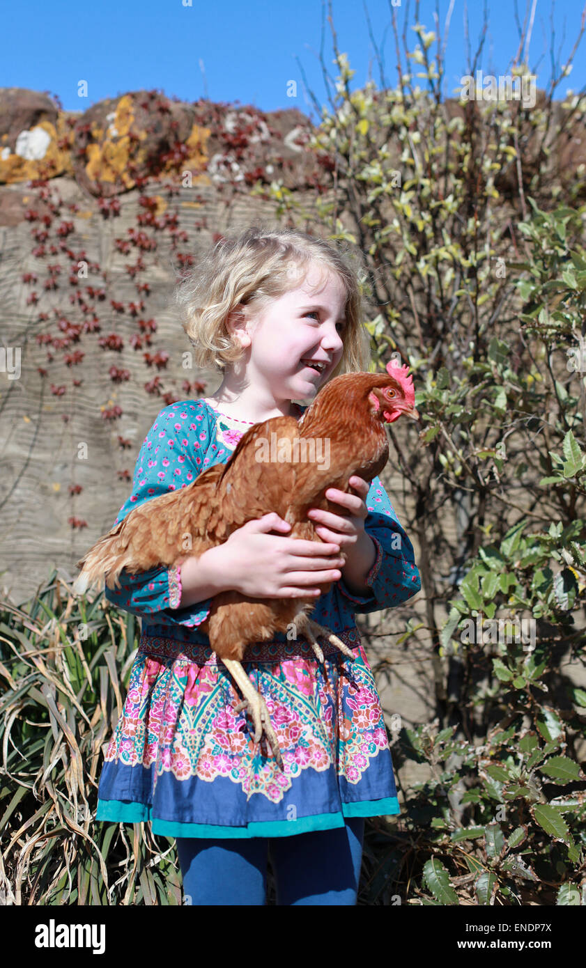 Pretty hen hi-res stock photography and images - Alamy