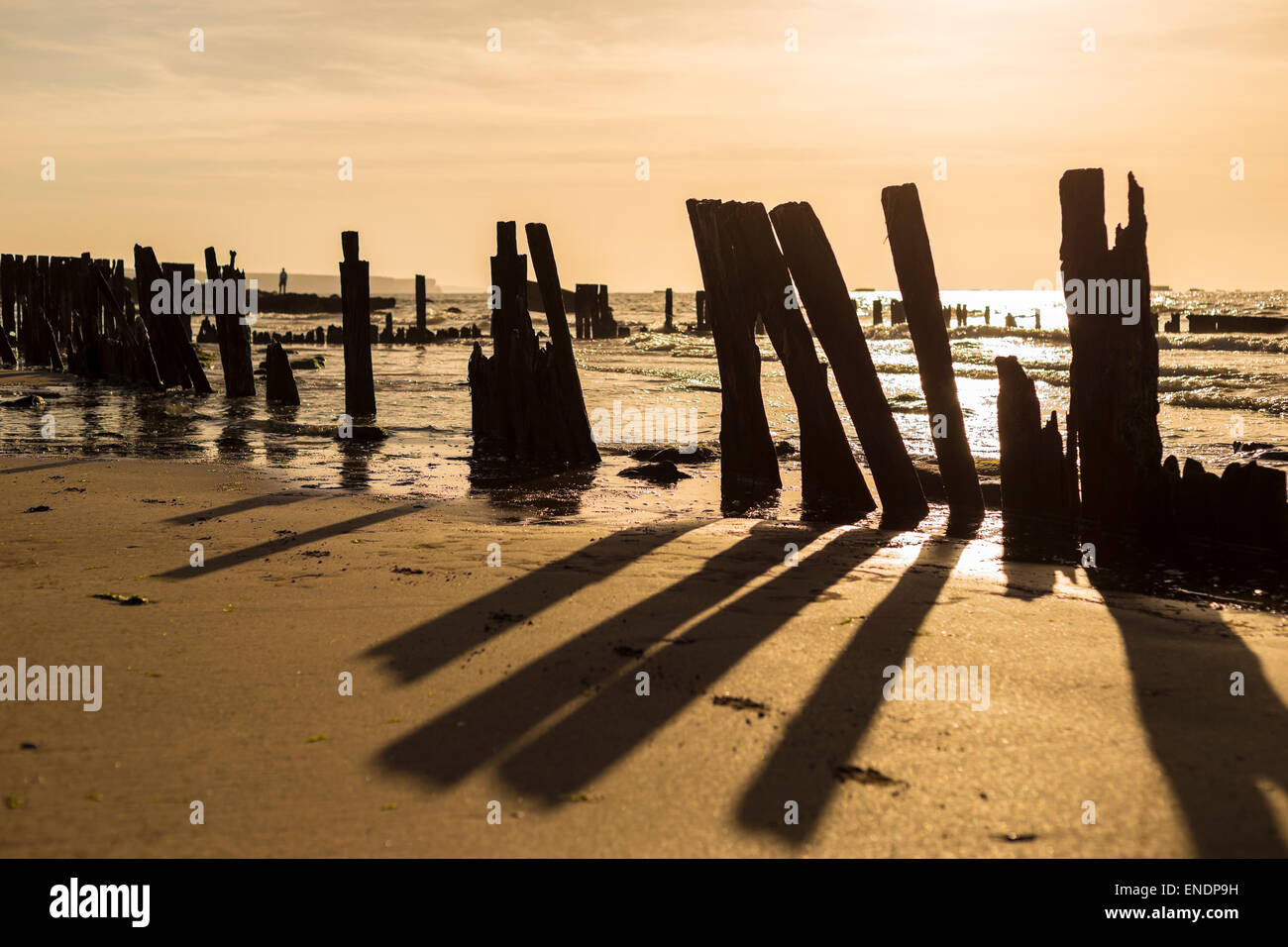 Wooden posts in sunset on Gold Beach, British D-Day allies landing site ...