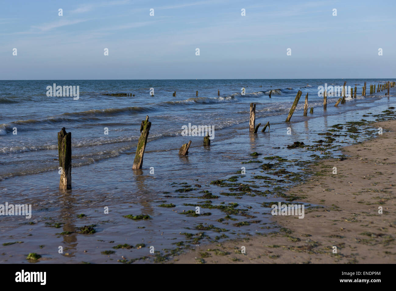 Wooden beach posts on shoreline at Gold Beach, British D-Day allies ...